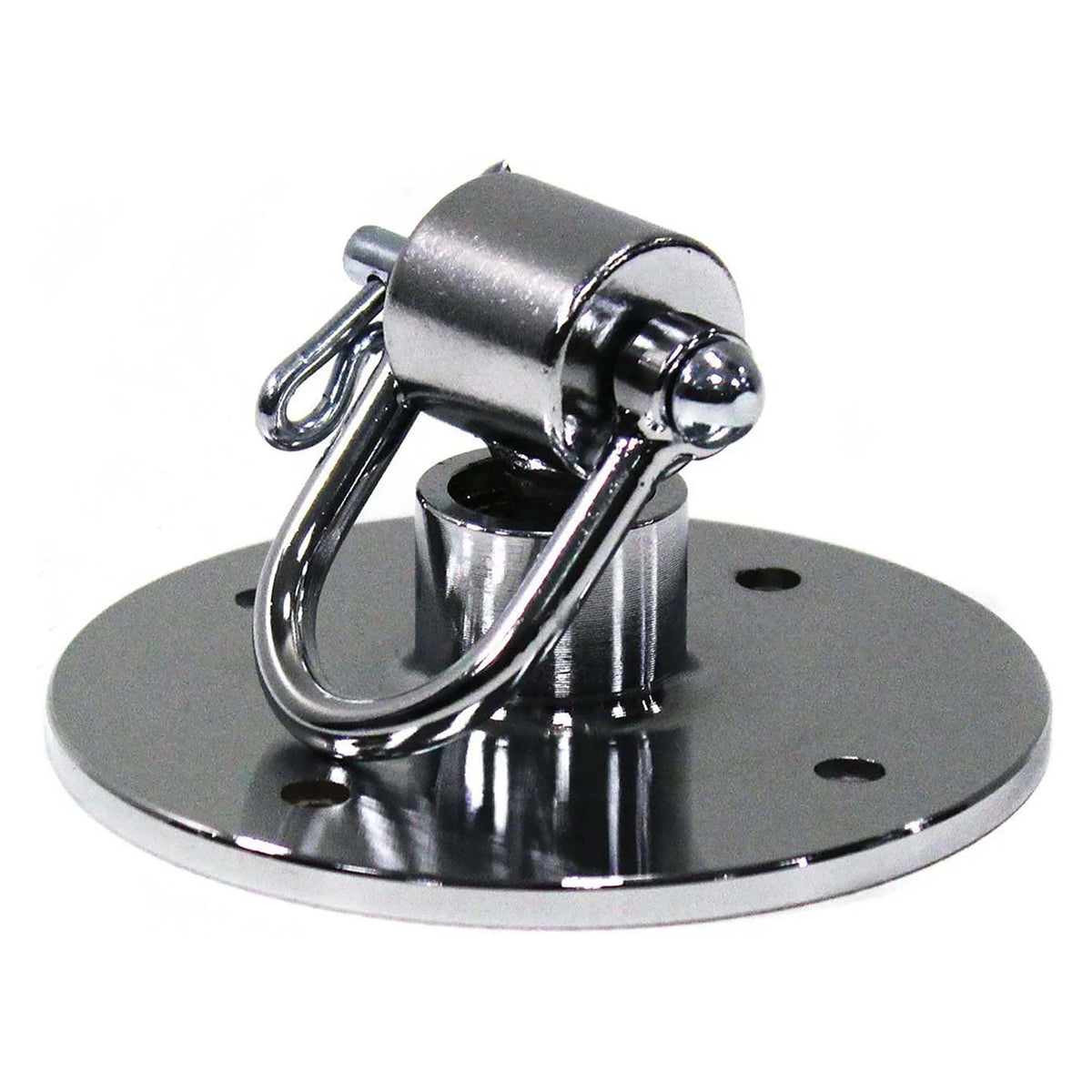 Everlast Swivel Speed Ball