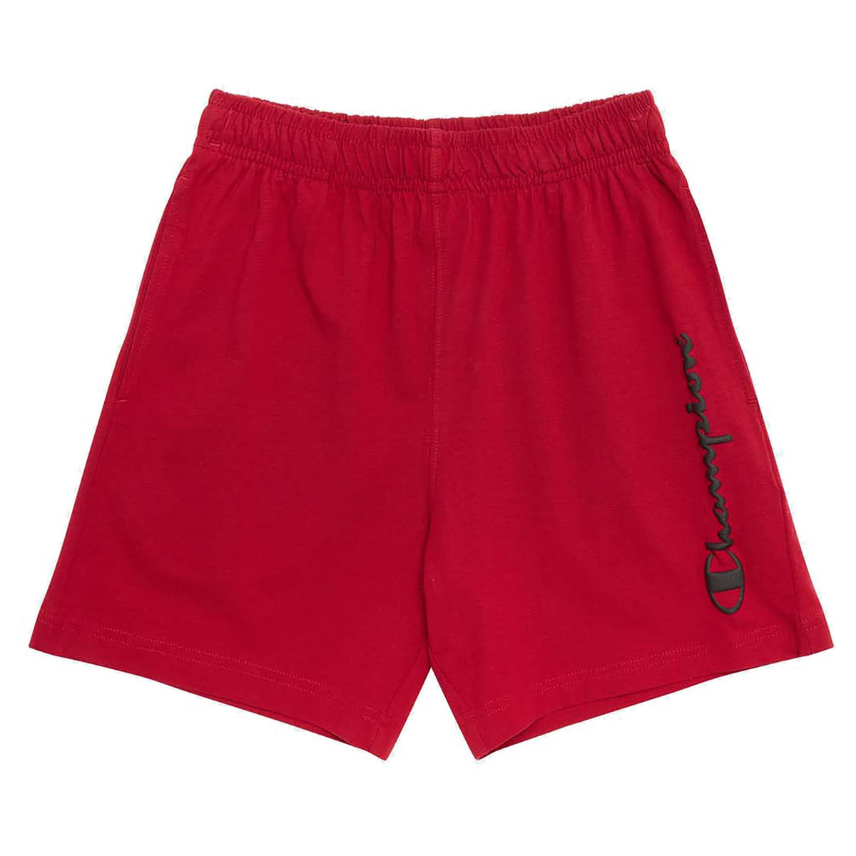 Junior's Script Puff Print Shorts