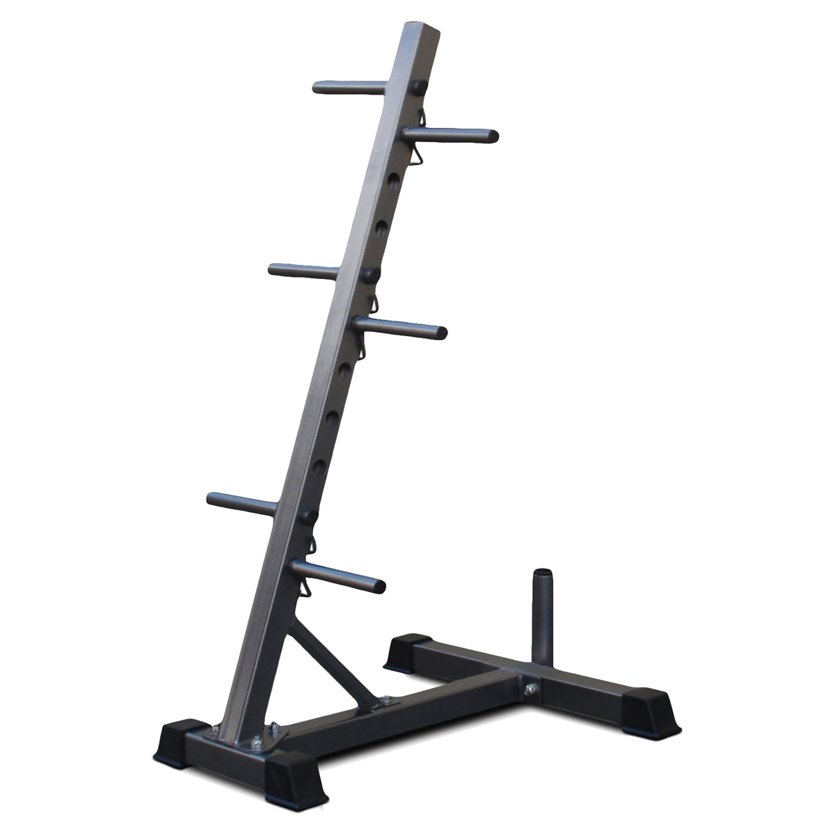 Bodyworx Standard Plate Tree