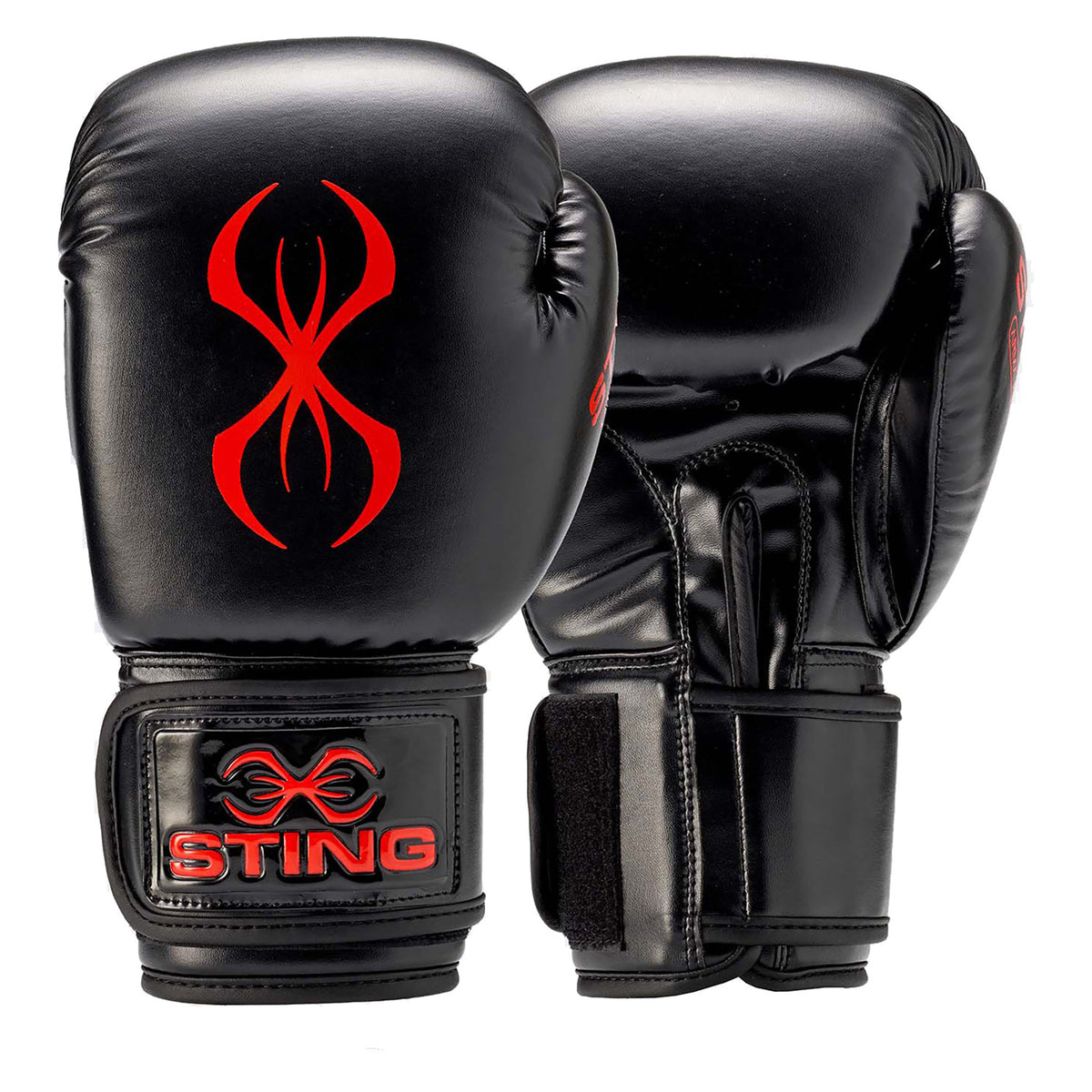 Sting Armaforce 10oz Boxing Combo Kit